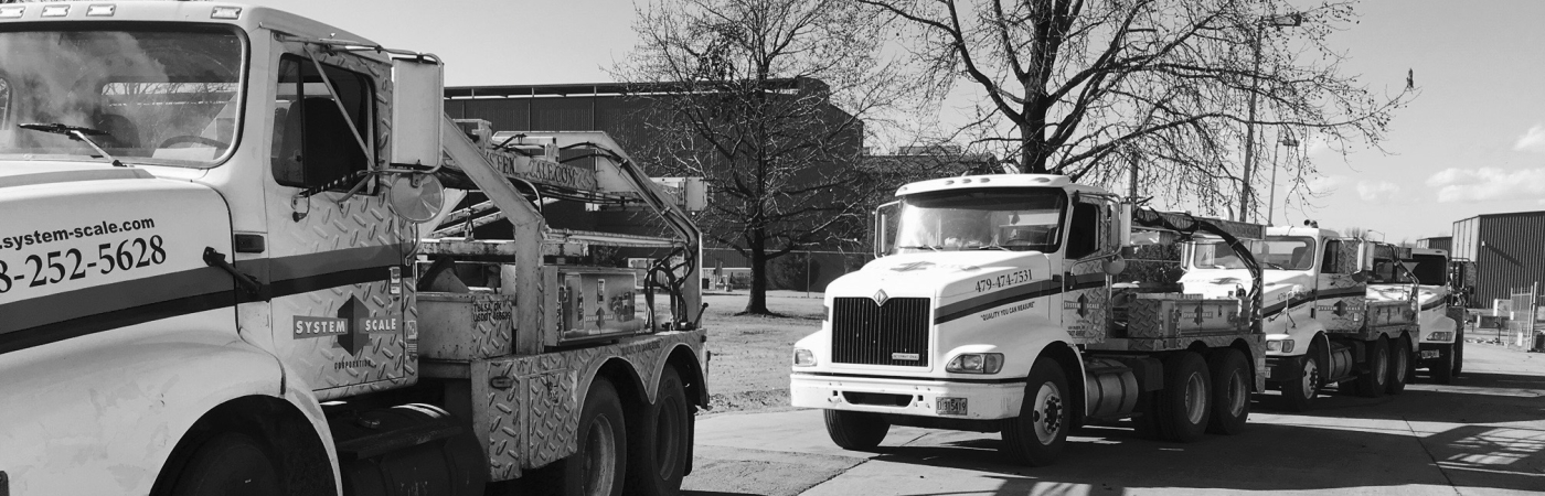 Quality - System Scale